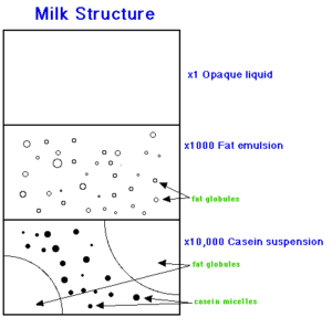 Coagulation – Curds Getting Comfy – Cheese Science